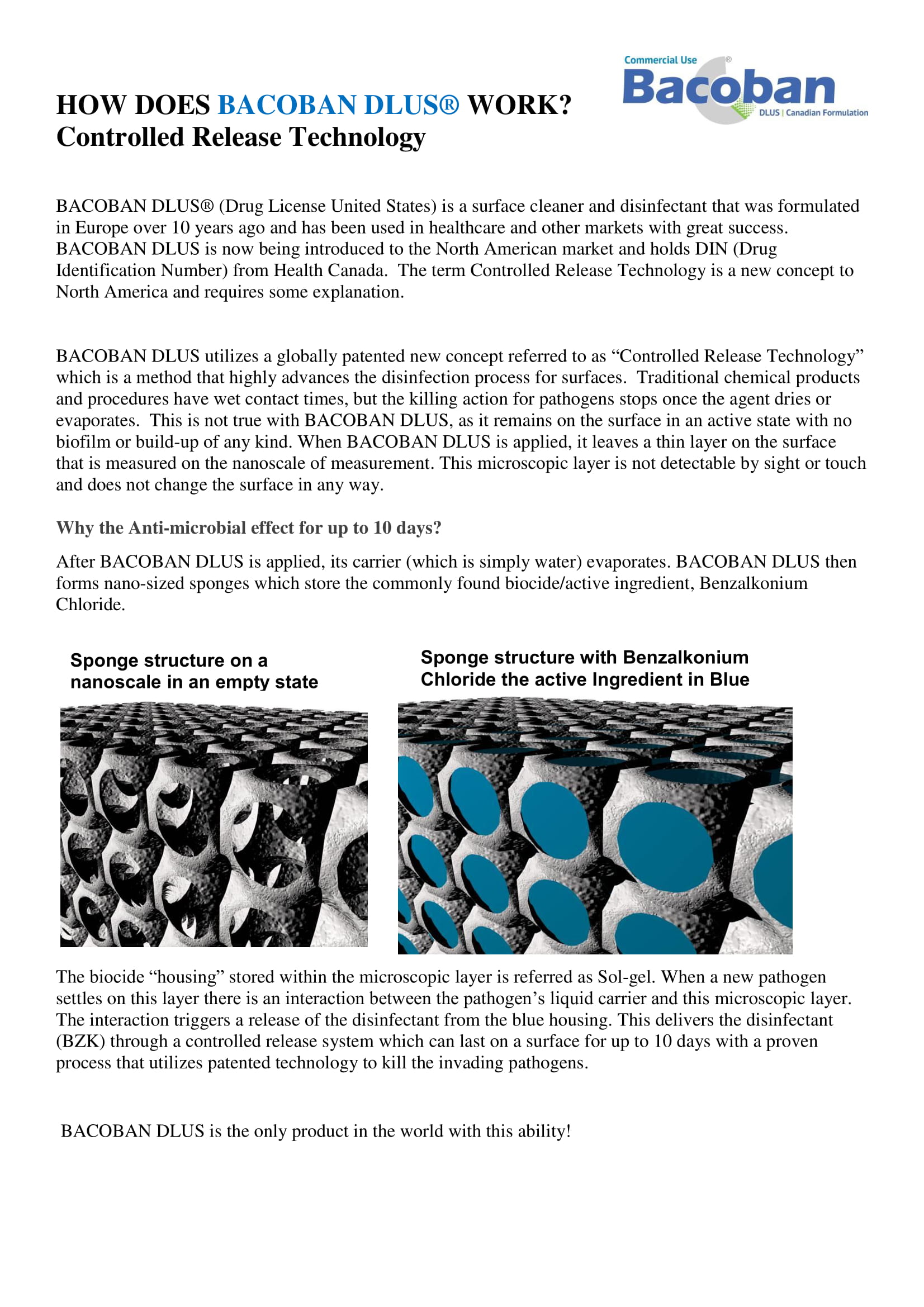 Karl W. Richter Ltd. Bacoban